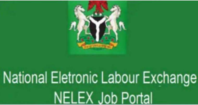 NELEX Nigeria Portal Login 2022 for FG Jobs | www.nelexnigeria.com