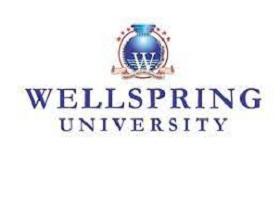 Wellspring University Recruitment for Marketing Executive
