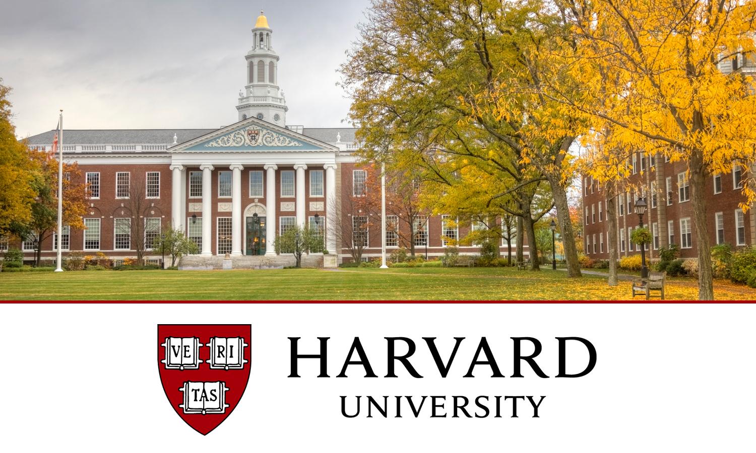 Harvard Environment fellowship award - Check out
