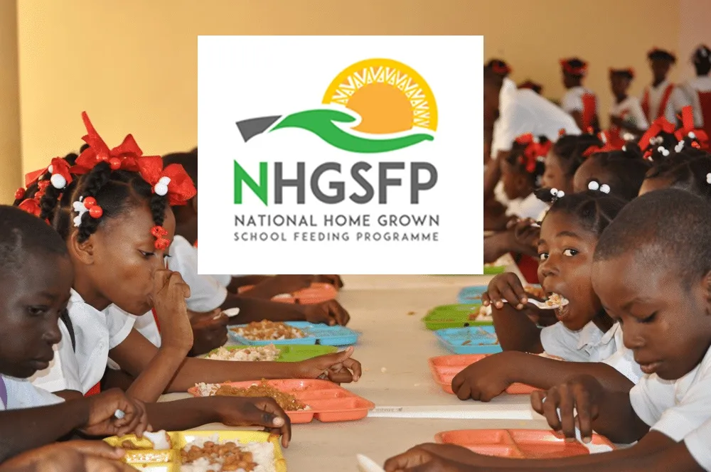 National Home-Grown School Feeding Programme Disbursement 2023 Update ...