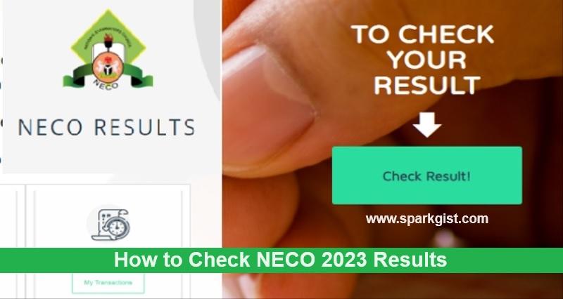 How to Check NECO 2023 Results Online | Complete Guide to Check Online ...