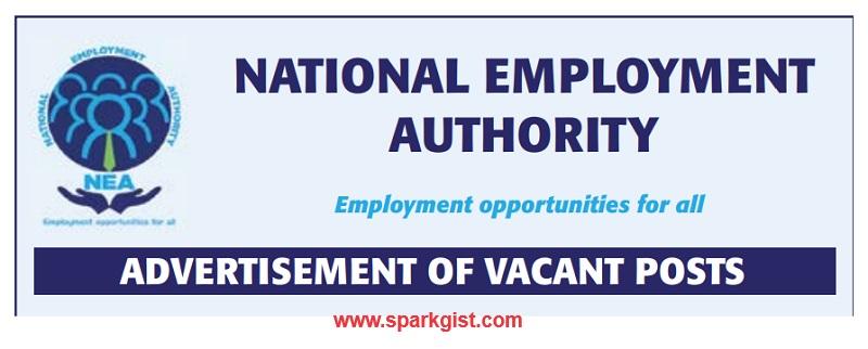 NEA Recruitment Application Form Portal 2023/2024 | Apply Now - Spark Gist