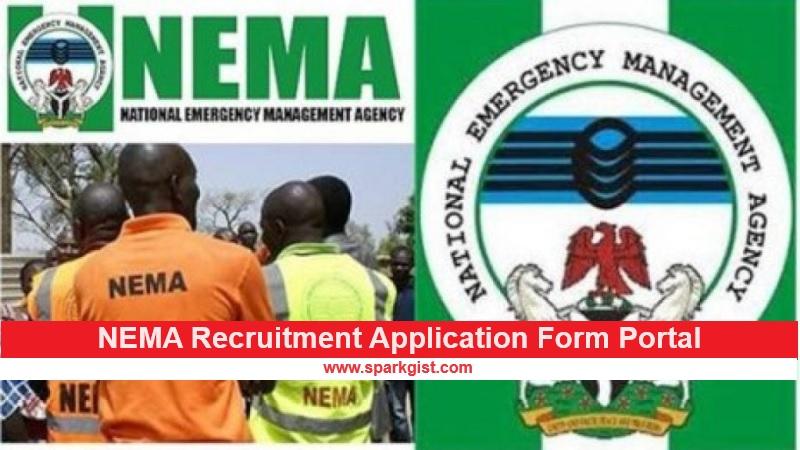 NEMA Recruitment Application Form Portal 2023/2024 | Apply Now via: www ...