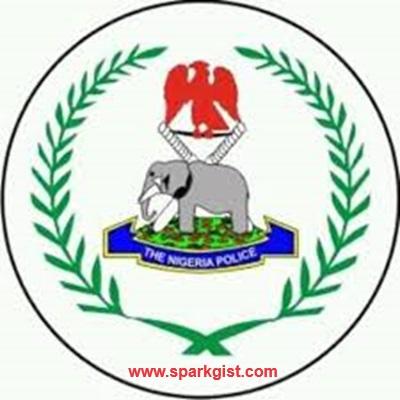 Nigeria Police Recruitment Application Portal 2023/2024 NPF Application ...