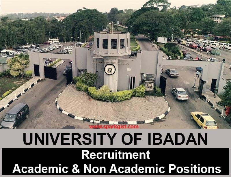 University of Ibadan Recruitment 2023/2024 for Academic and Non ...